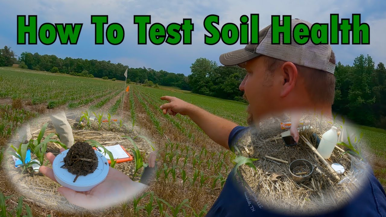 How To Test Soil Health - YouTube