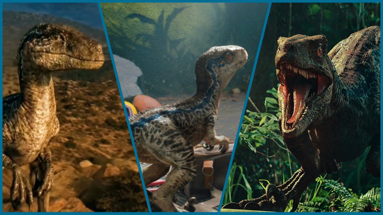 Evolution & Facts about Blue in Jurassic World Movies! - YouTube