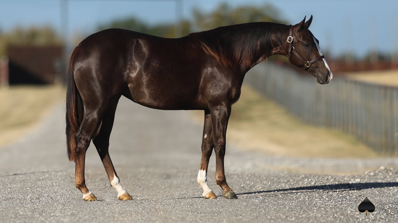 Girl On The Prowl - YouTube