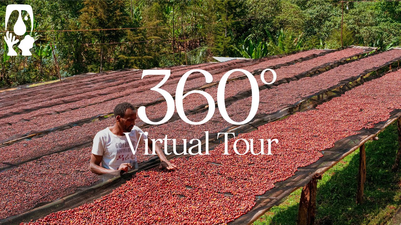 Gujoo Trading [Dimtu] - TYPICA's 360° Virtual Tour - YouTube