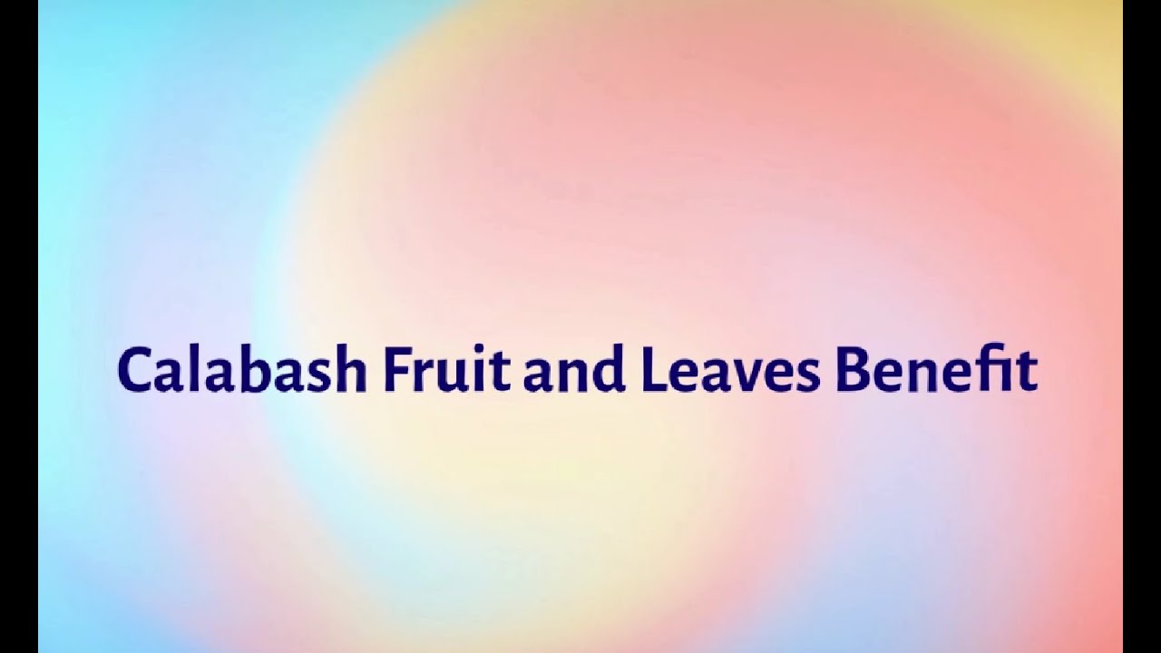 Calabash Fruit and Leaves Benefits (Miracle Fruit Tree) - YouTube