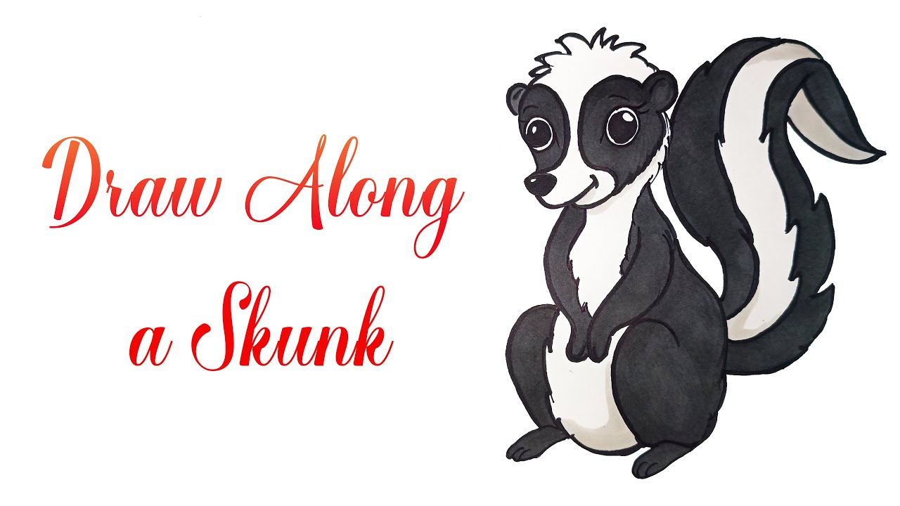 Draw Along - A Skunk | Step by Step Art Tutorial | 4K - YouTube