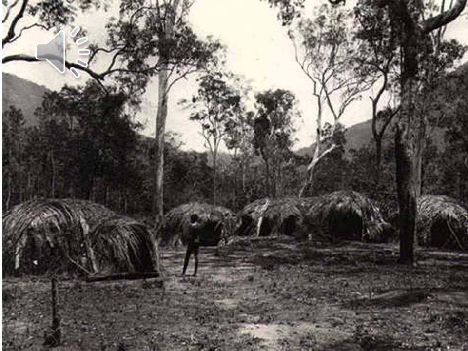 How Indigenous People Lived In The Daintree Rainforest - YouTube