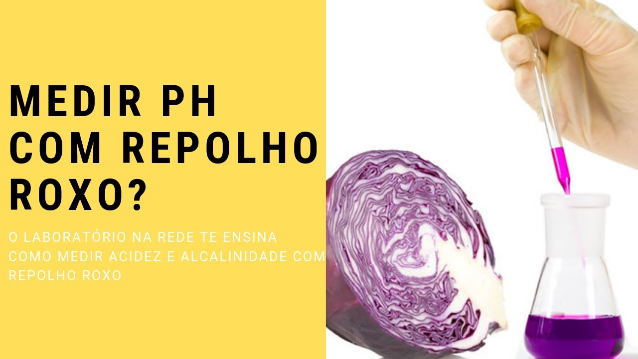 MEDIR O PH COM REPOLHO ROXO? - YouTube