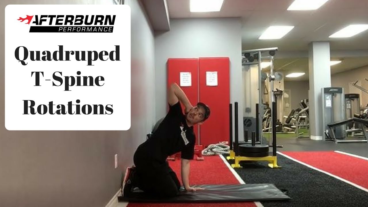 Mobility Monday - Quadruped T - Spine Rotations - YouTube
