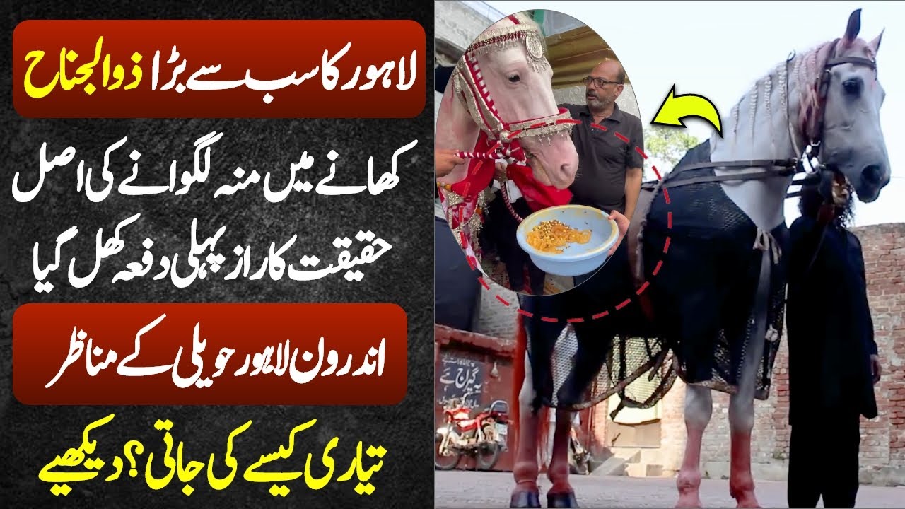 Zuljanah Exclusive | Syed Farhan Zafar - YouTube