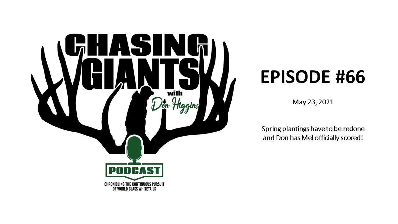 Chasing Giants Podcast - Episode 66 - YouTube
