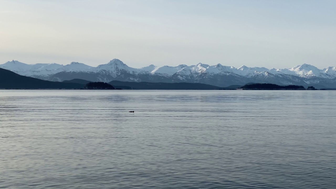 A quick sketch from Peterson Salt Chuck - YouTube