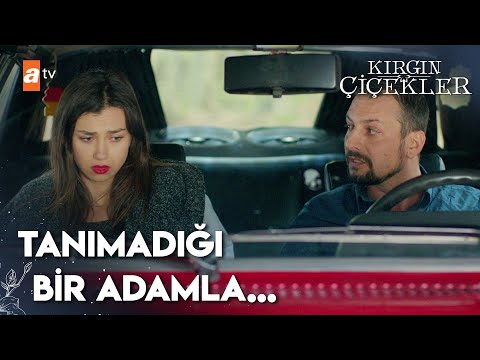 Meral tanımadığı bir adamla ormanda baş başa! | Kırgın Çiçekler