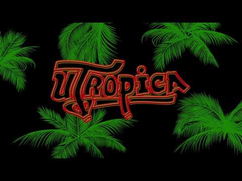 Donald Bucks - West (Puzzles Moombah Edit) [Moombahton]