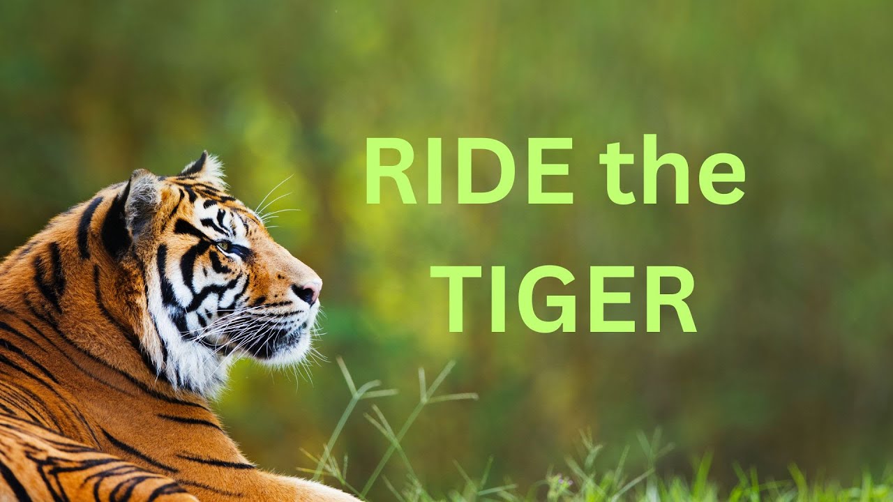 RIDE the TIGER ~ JARED RAND 08-15-2024 #2290 - YouTube