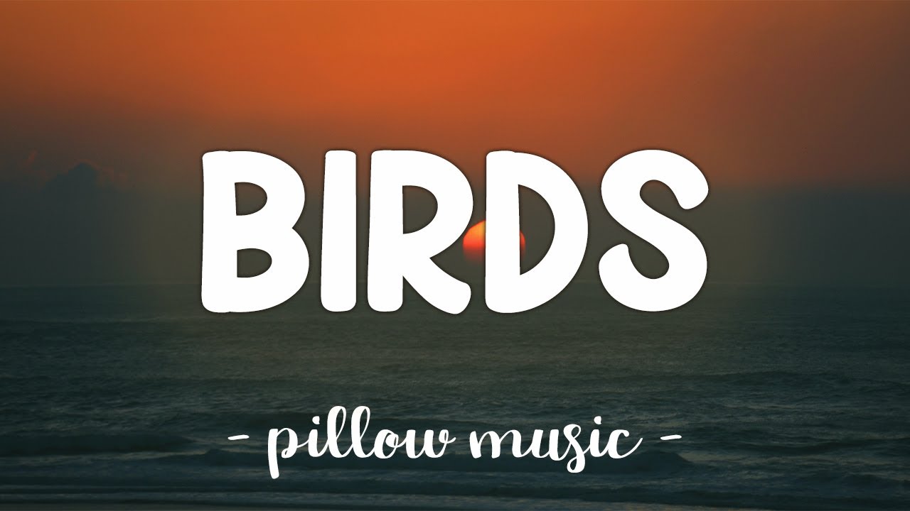 Birds - Imagine Dragons (Lyrics) 🎵 - YouTube