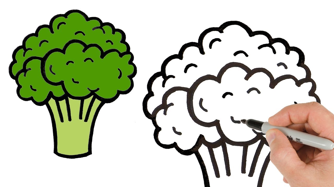 How to Draw Broccoli | Food Drawing Step-by-Step Tutorial! - YouTube
