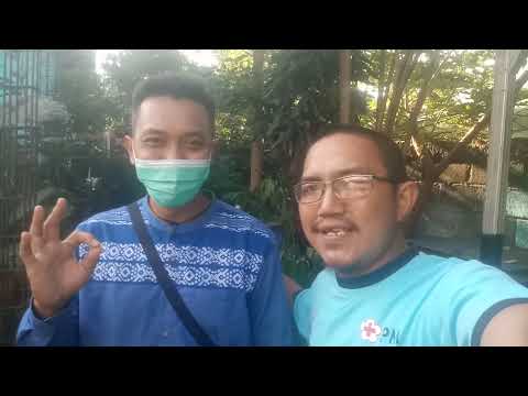 Tanah 7x5 m2, bisa mengatasi sampah 1 RW, 100 KK! (kunjungan ke program KangPisman, Bandung)
