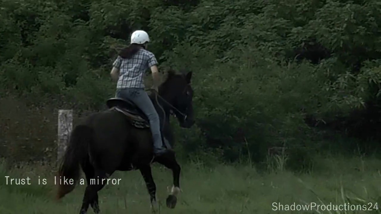 deleted/incompleted projects 4/14-2/16 - YouTube