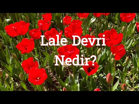 Lale Devri Nedir?