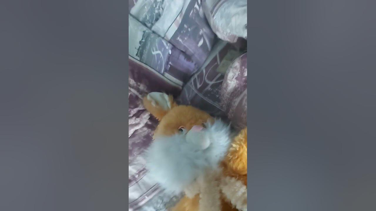 гавняшка - YouTube