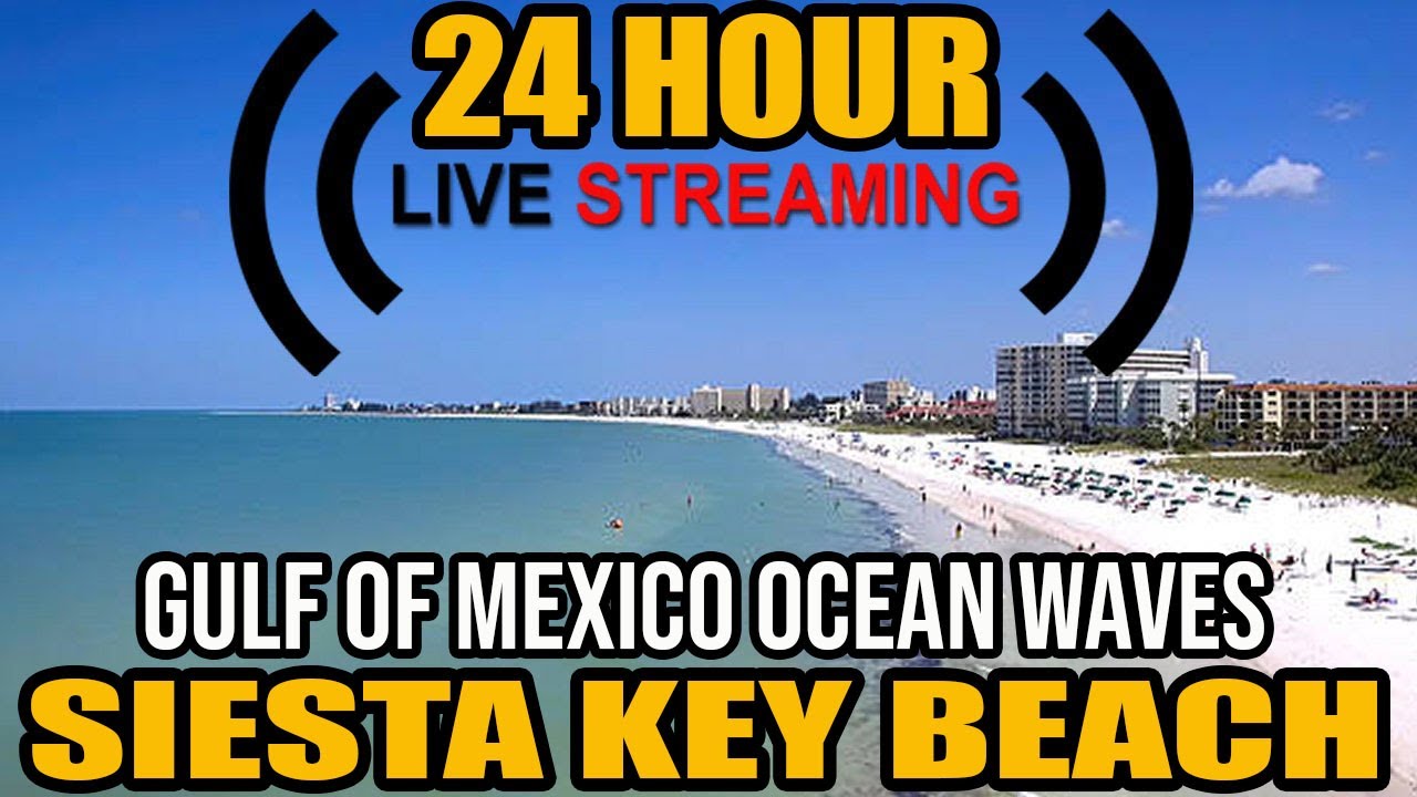 Siesta Key 24 Hour Livestream Relaxing Tropical Ocean Waves Gulf of ...