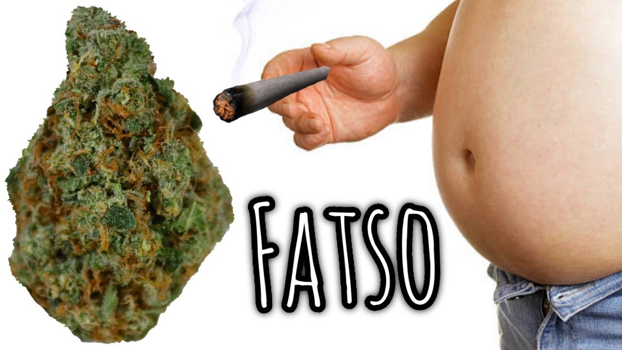 Fatso OFFICIAL Strain Review - YouTube
