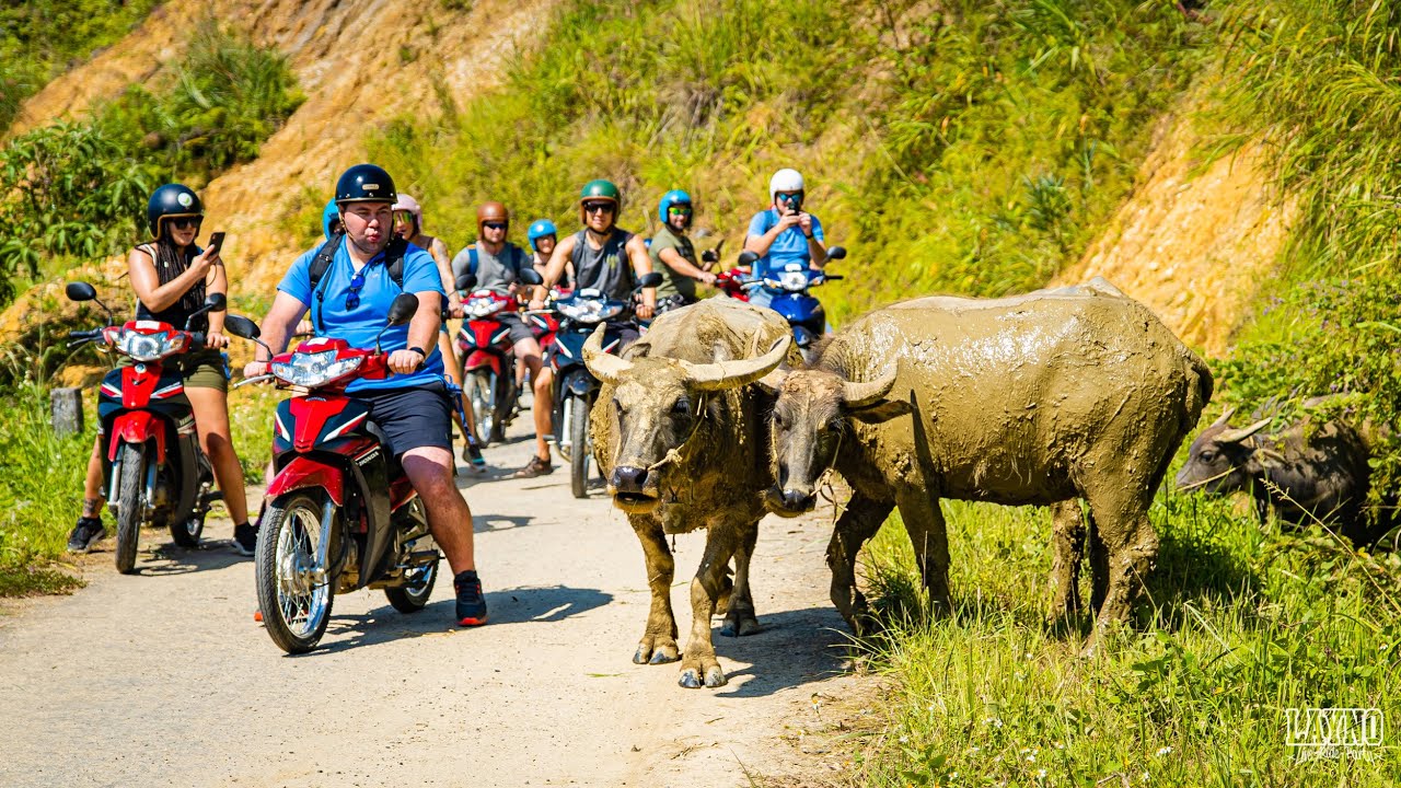 Vietnam (2022) Layno Tour - YouTube