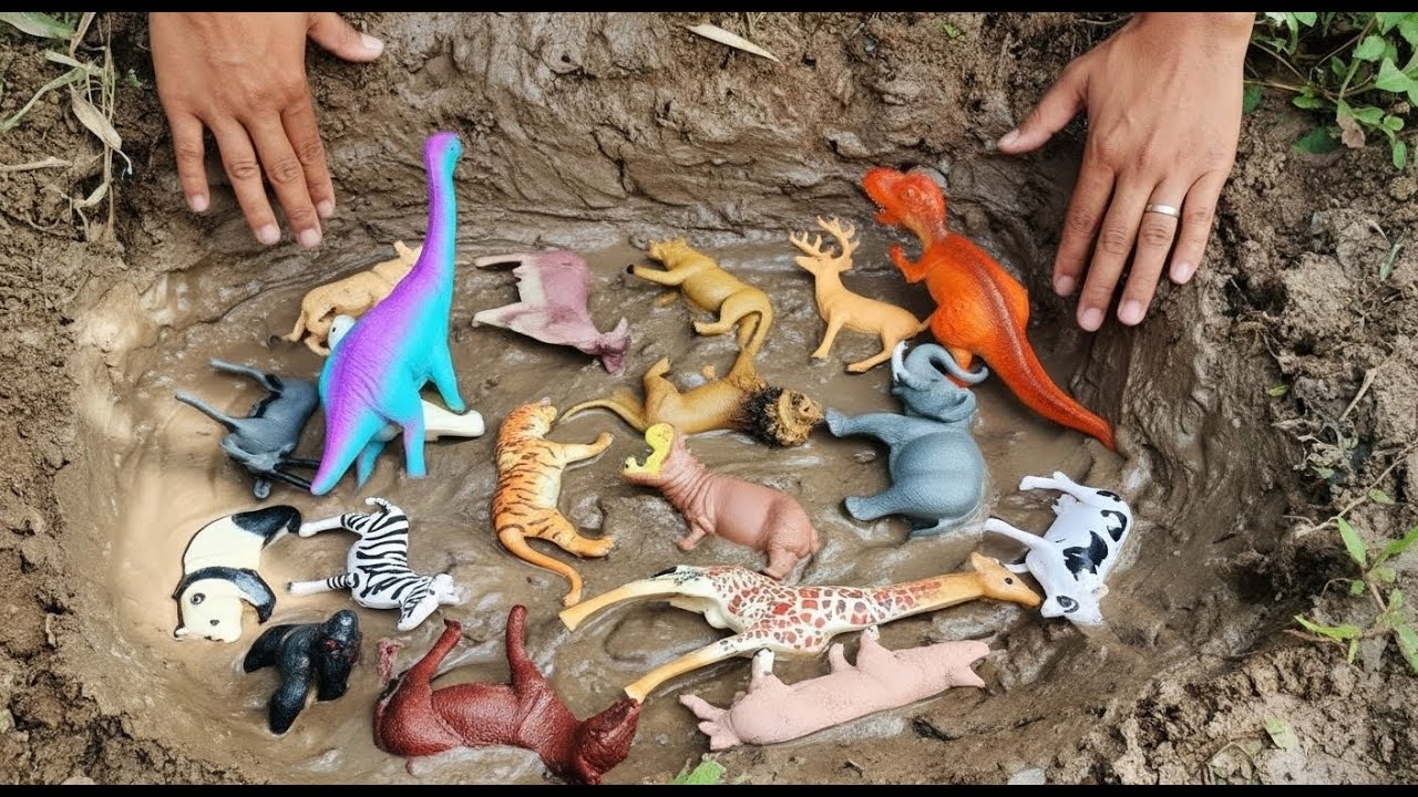 WILD ANIMALS WASHED IN TRAPAING WATER 💦 MUDDY TO CLEAN! - YouTube
