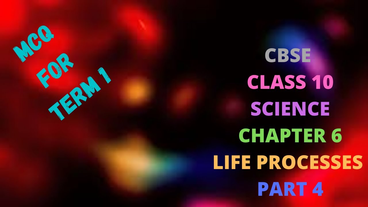 LIFE PROCESSES MCQ/CBSE CLASS 10 BIOLOGY/TERM 1 EXAMINATION/IMPORTANT ...