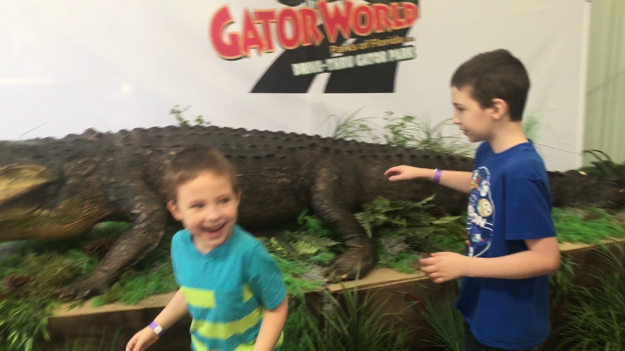Our Family's Trip to GatorWorld in Wildwood Florida - YouTube