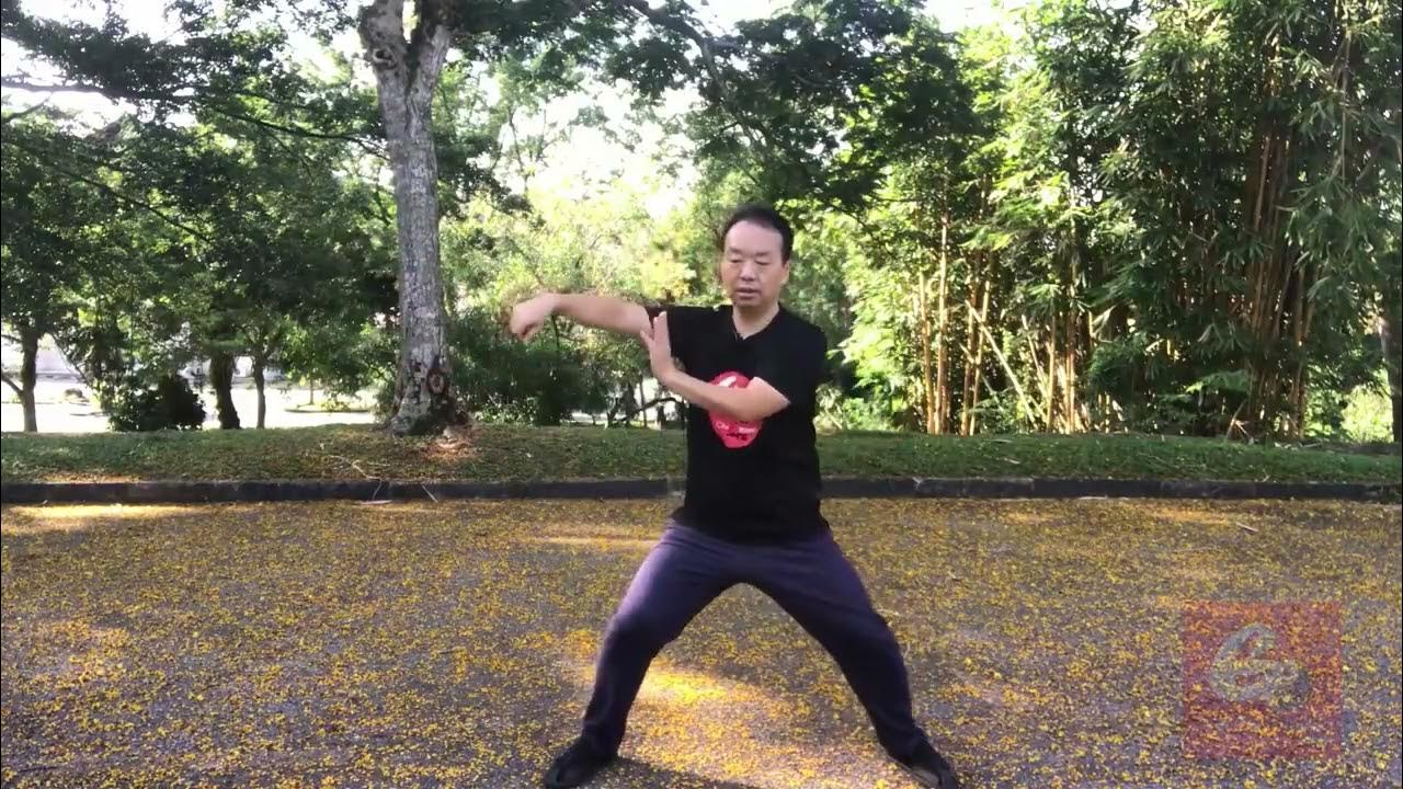 Chen Style Tai Chi New Frame First Routine 陈氏太极拳新架一路 - 77 单鞭 VII 7TH Single Whip VII - YouTube