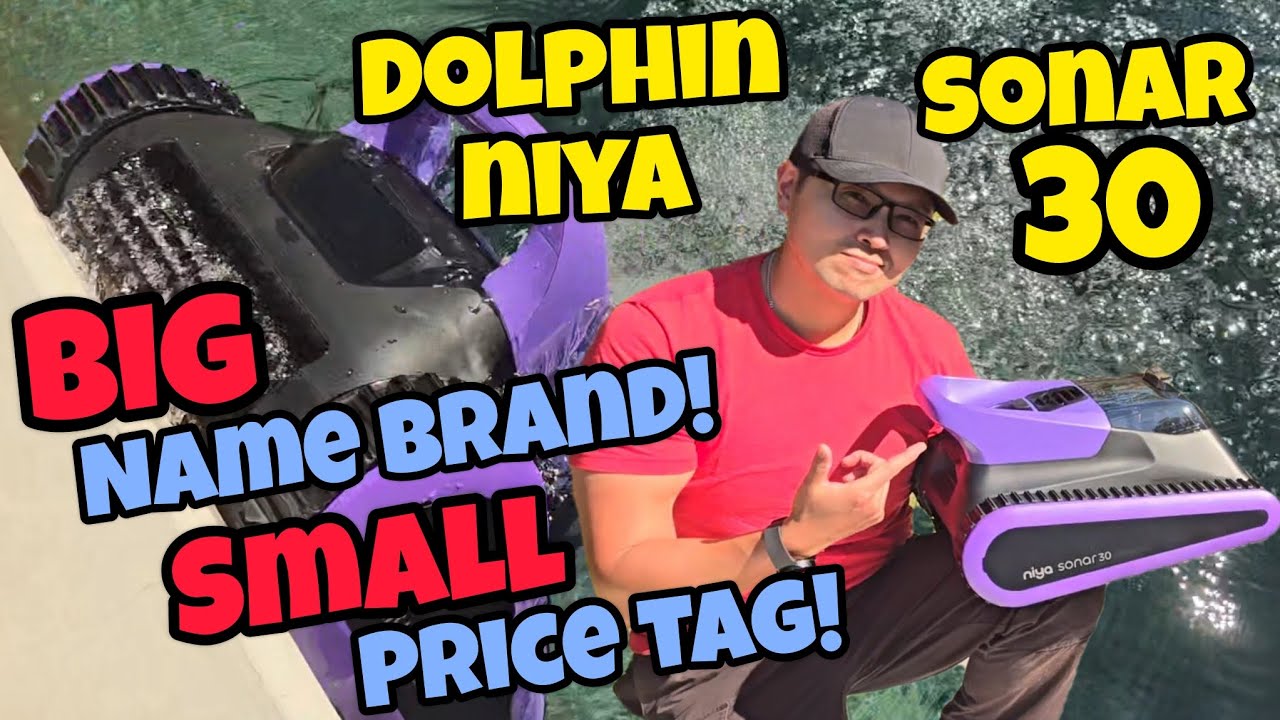 Big on Brand, Small on Price! Dolphin Niya Sonar 30 - YouTube