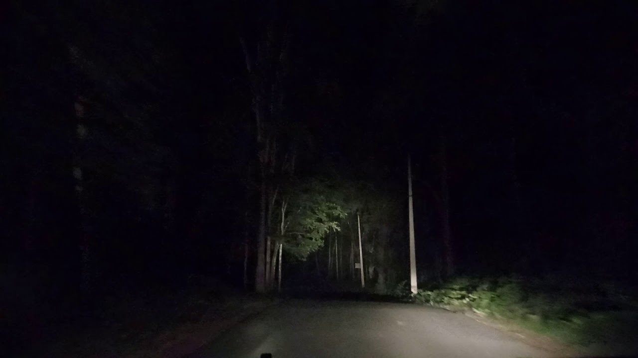 Night car drive in Forest - YouTube