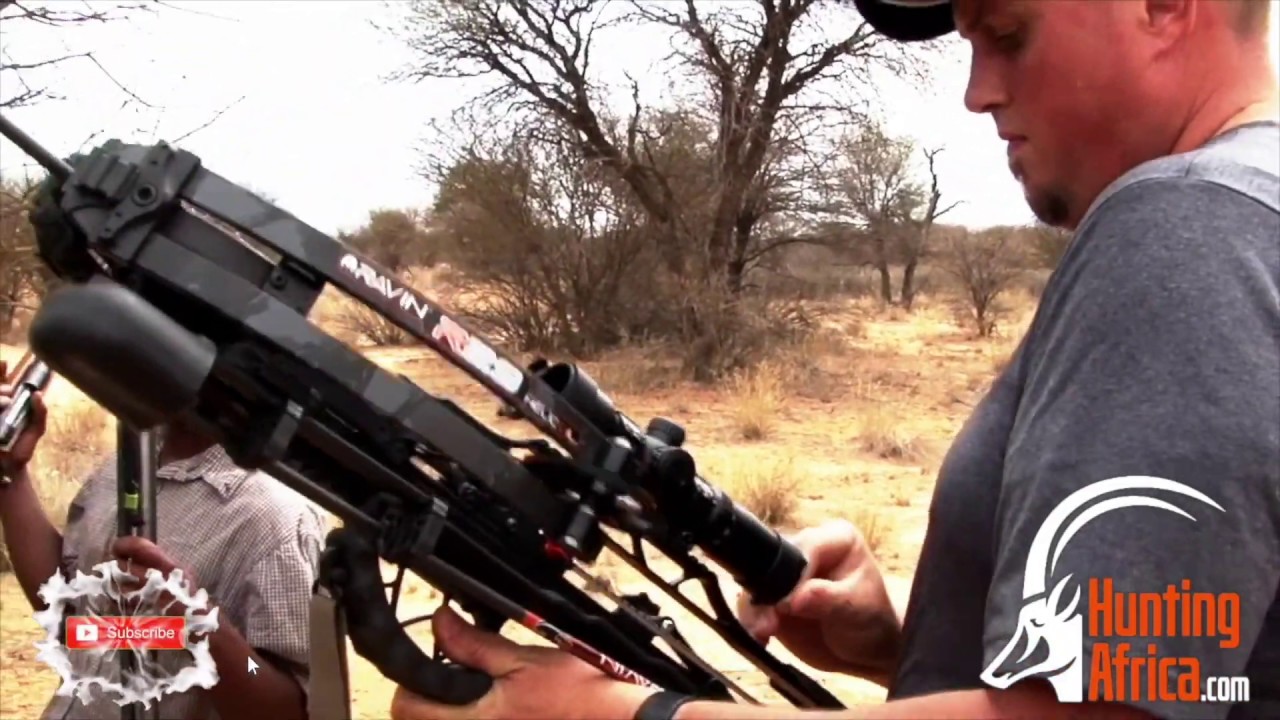 Dangerous Game Hunting Compilation!! - 5 Lion,2 Cape Buffalo!! - YouTube