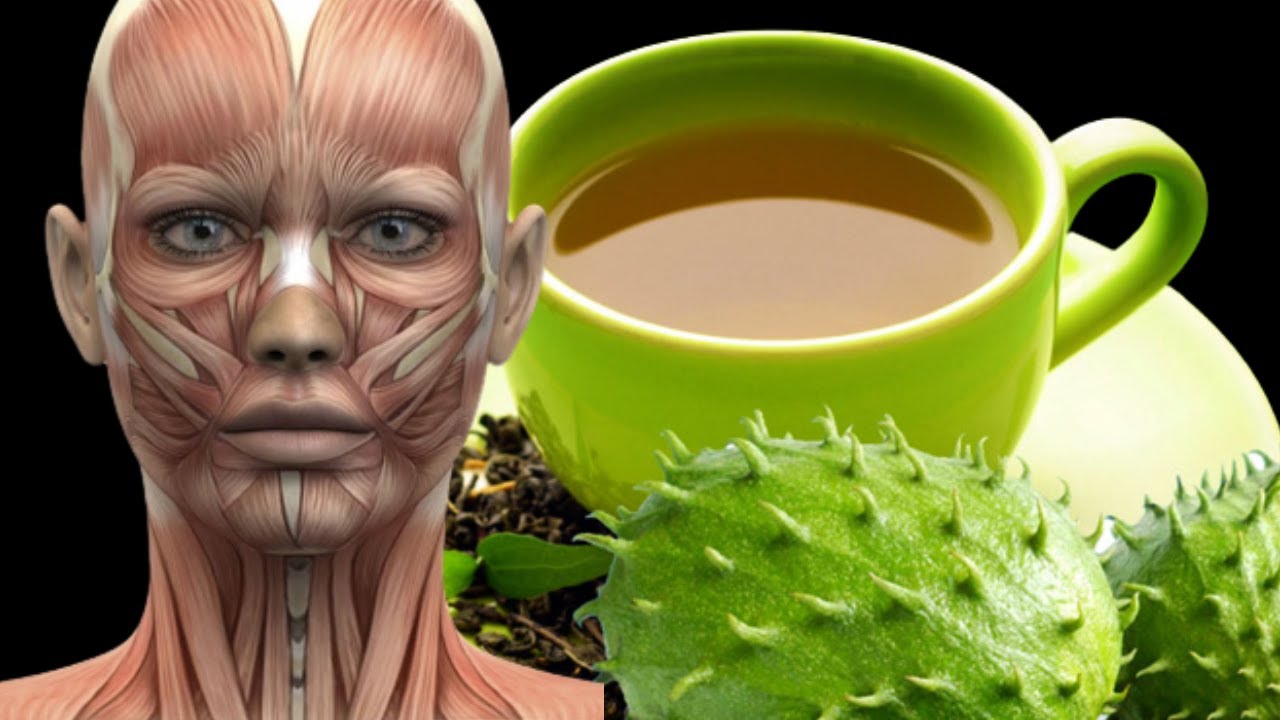 7 amazing Reasons Why You Need To Have Soursop tea every Day+How To ...