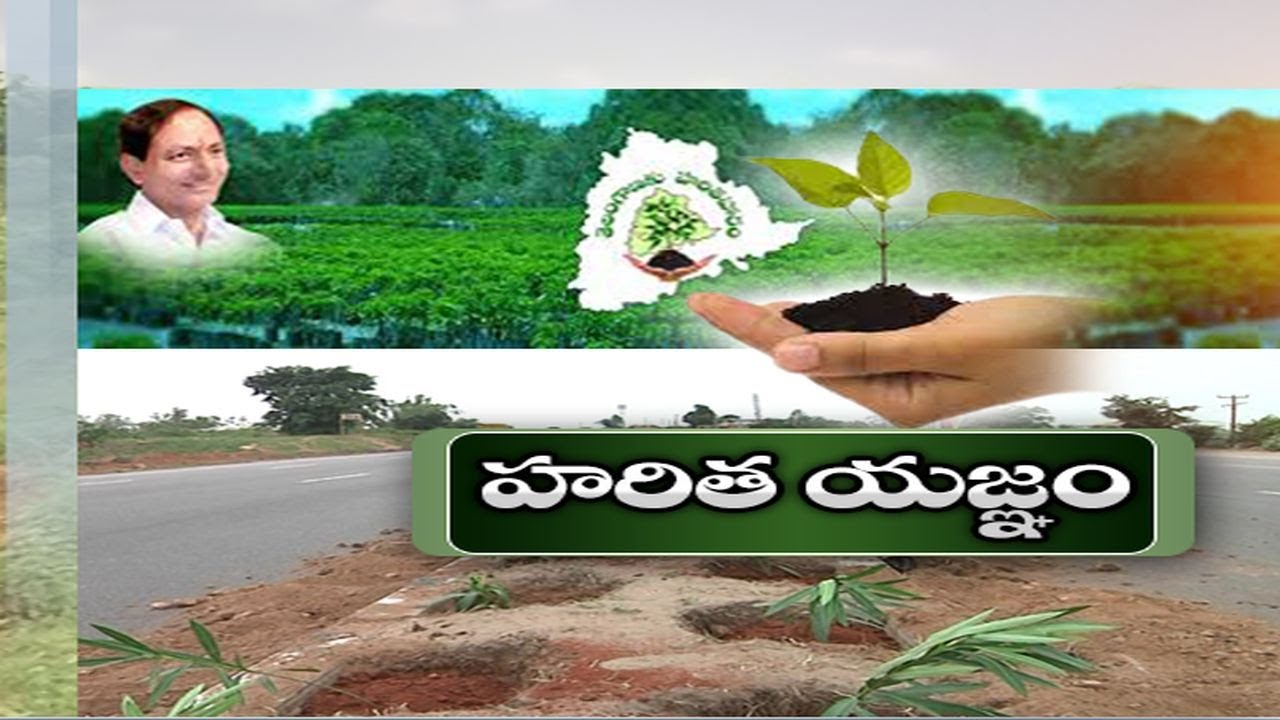 All Set for 7th Phase of Haritha Haram | to be Launched Soon | in ...