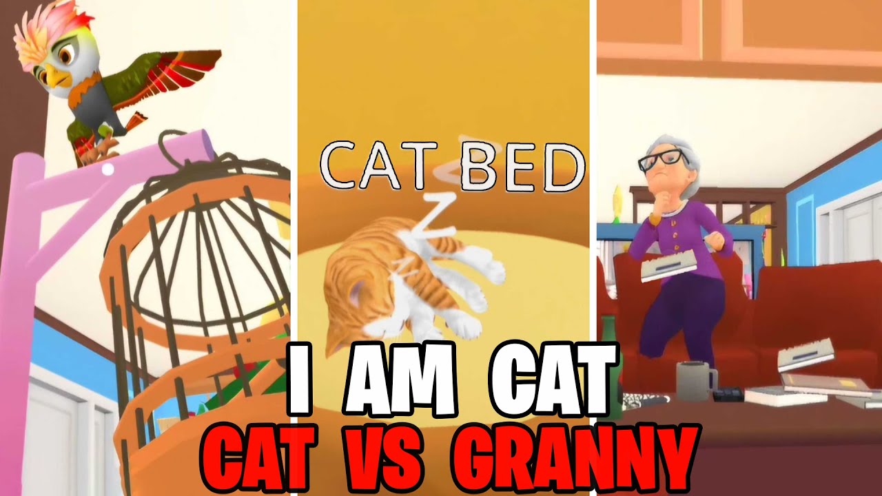 CAT VS GRANNY in Cat Chaos: Prankster Gameplay - I AM CAT GAME - YouTube