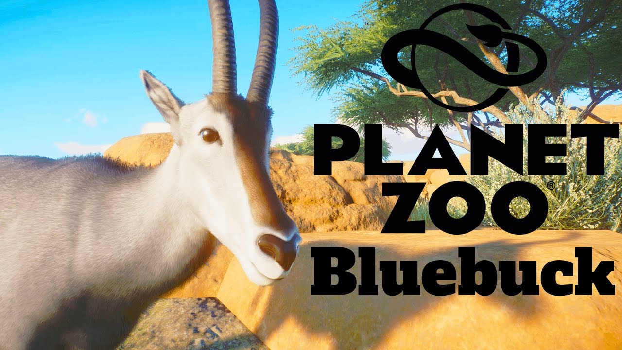 Bluebuck Habitat Planet Zoo Modded Speed Build - YouTube
