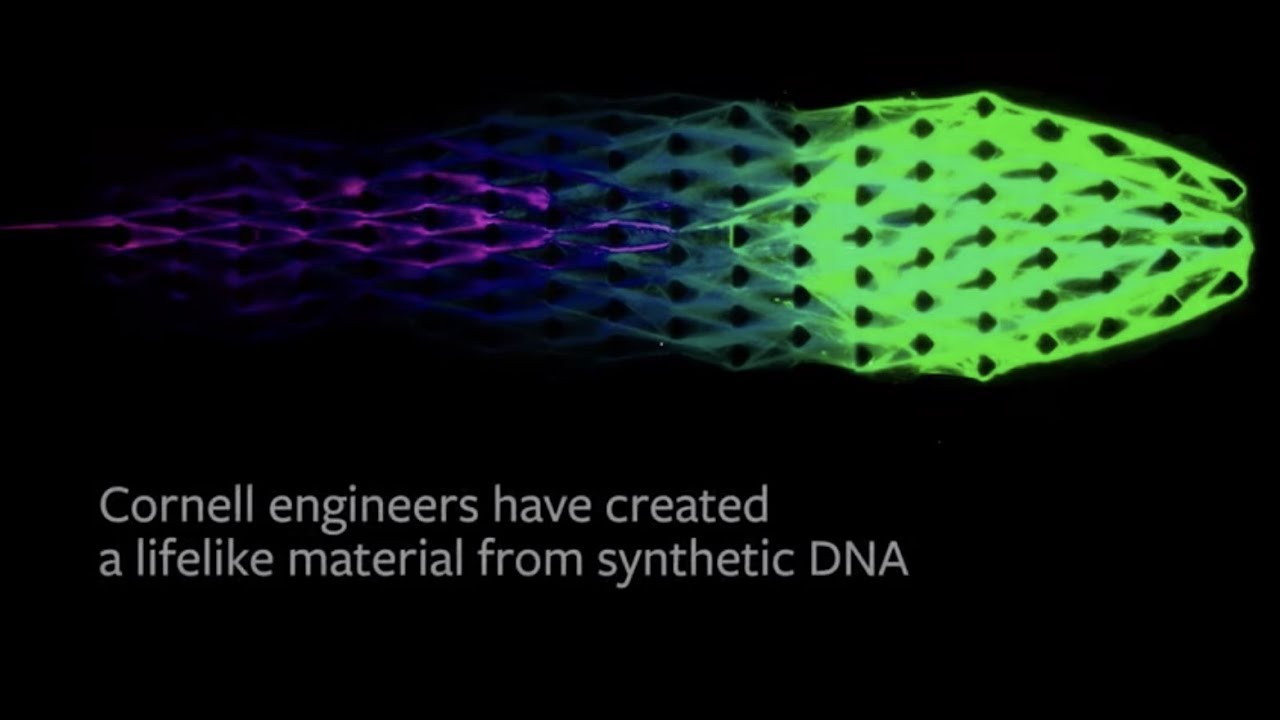 Scientists have created a living material that has the three signs of ...
