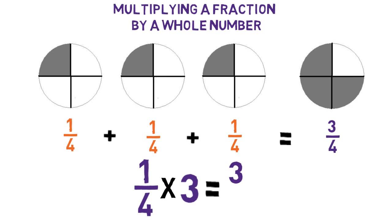 Lesson 05 Multiplying a Fraction by a Whole Number - YouTube