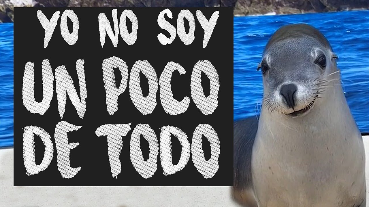 Un POCO de TODO | ¿Una FOCA que SONRÍE? 😜 | ¡Imitando Youtubers! - YouTube