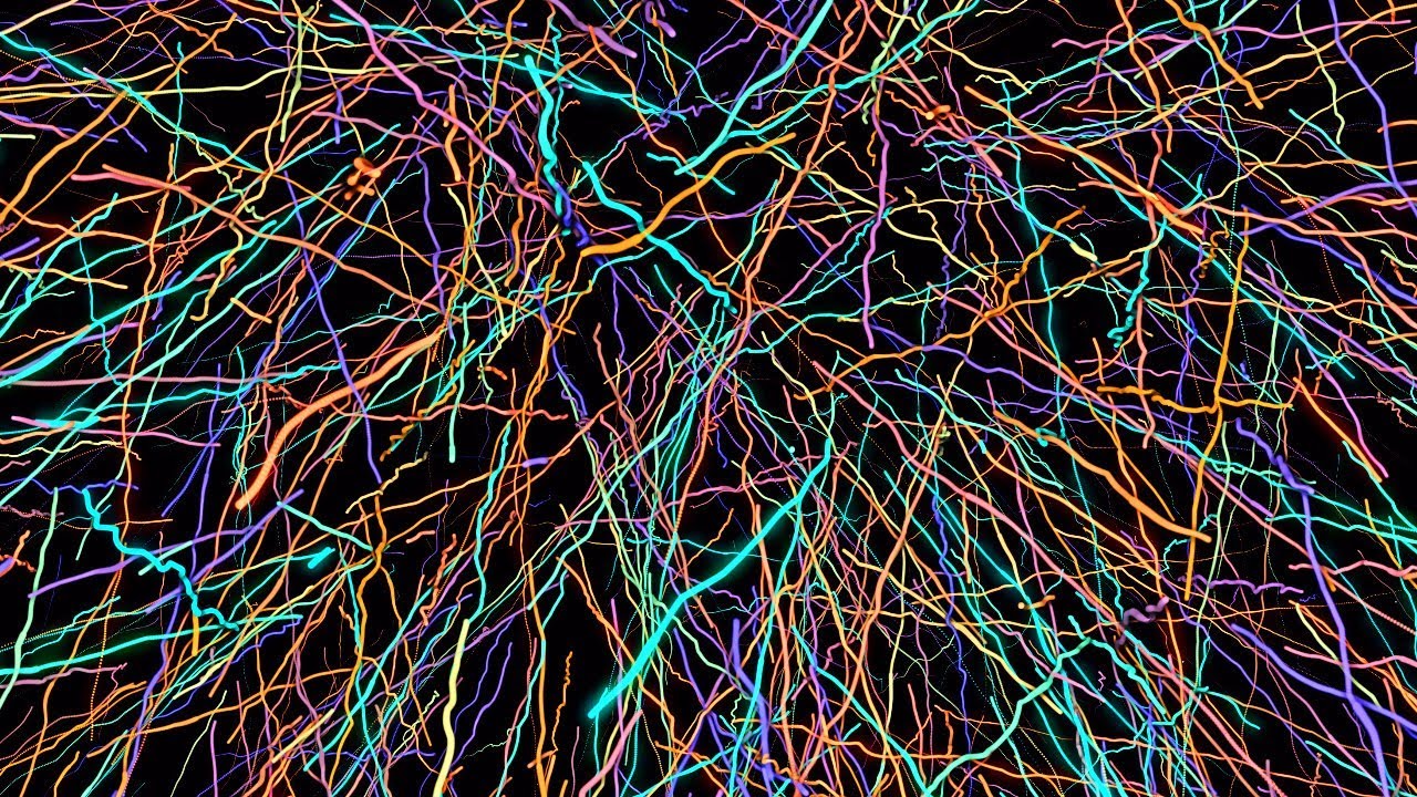 Brain Neurons! 4K Relaxing Screensaver! 30 MIN! - YouTube