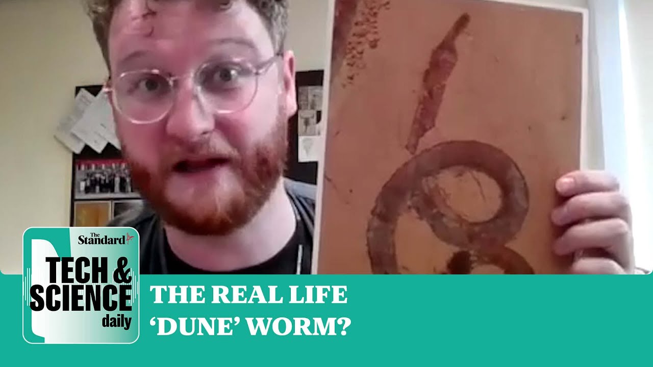 [Video] Prehistoric 'Dune' worm found in UK quarry explained ...Tech ...