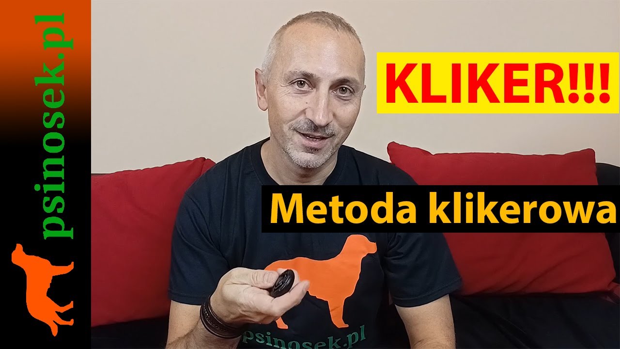 Do czego służy kliker i jak go używać w szkoleniu psa - Psinosek.pl