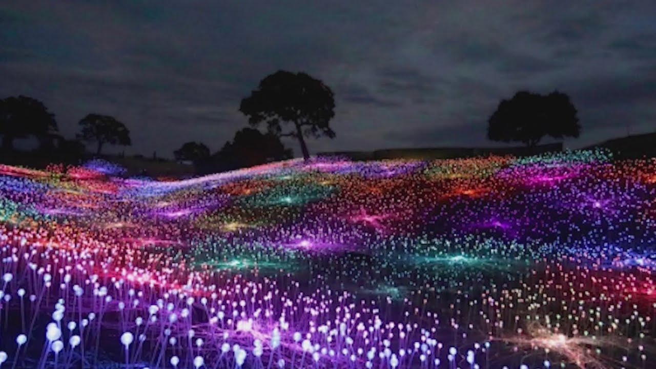 'Field of Light' installation coming to Lady Bird Wildflower Center ...
