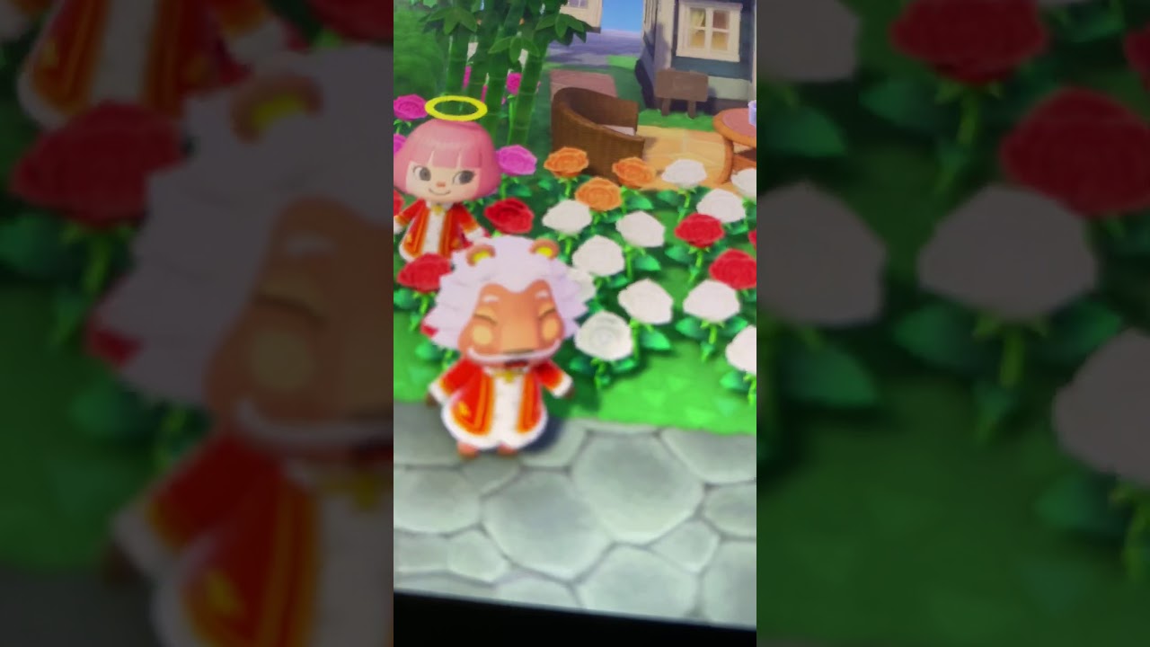 Lionel Animal Crossings New horizon - YouTube