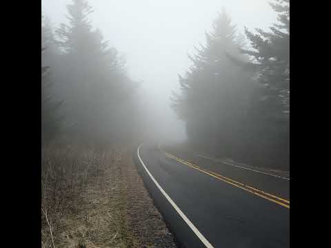 Entry 19: Darren Woyle on Roan Mountain: Pragmatism, Mudras, and the Art of Saying Yes