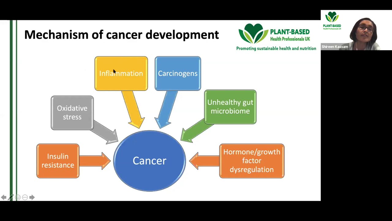 Improving cancer outcomes with a lifestyle approach, - YouTube