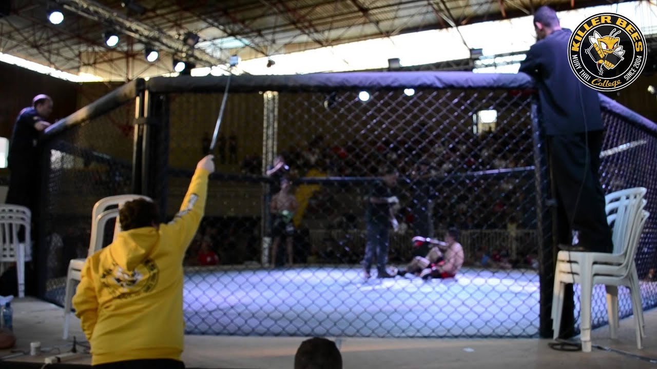 Atletas Killer Bees no Explosion Fighters MMA - YouTube