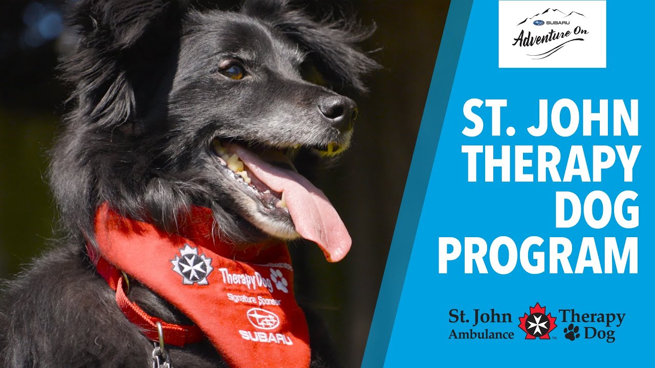 St. John Ambulance Therapy Dog Program | Subaru Adventure On - YouTube