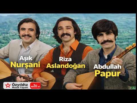 Aşık Ali Nurşani Rıza Aslandoğan Abdullah Papur #keşfet #türkü #keşfetbeniöneçıkar