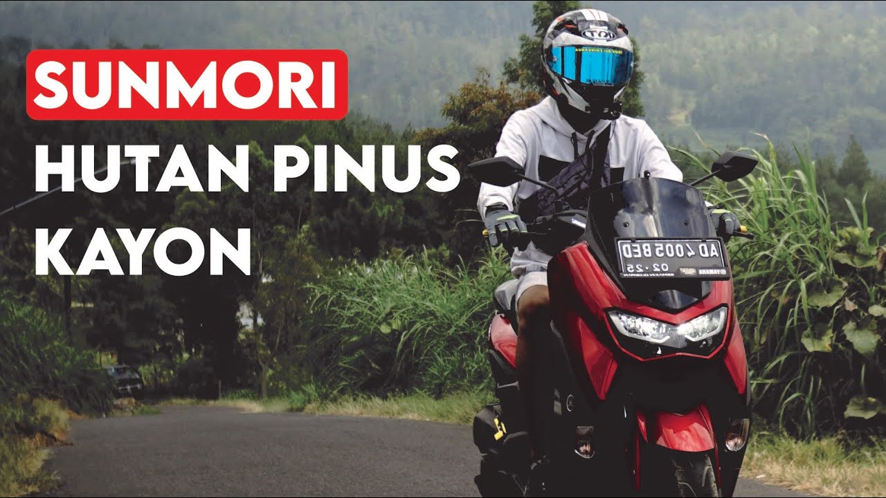 Sunmori Hutan Pinus Kayon - YouTube