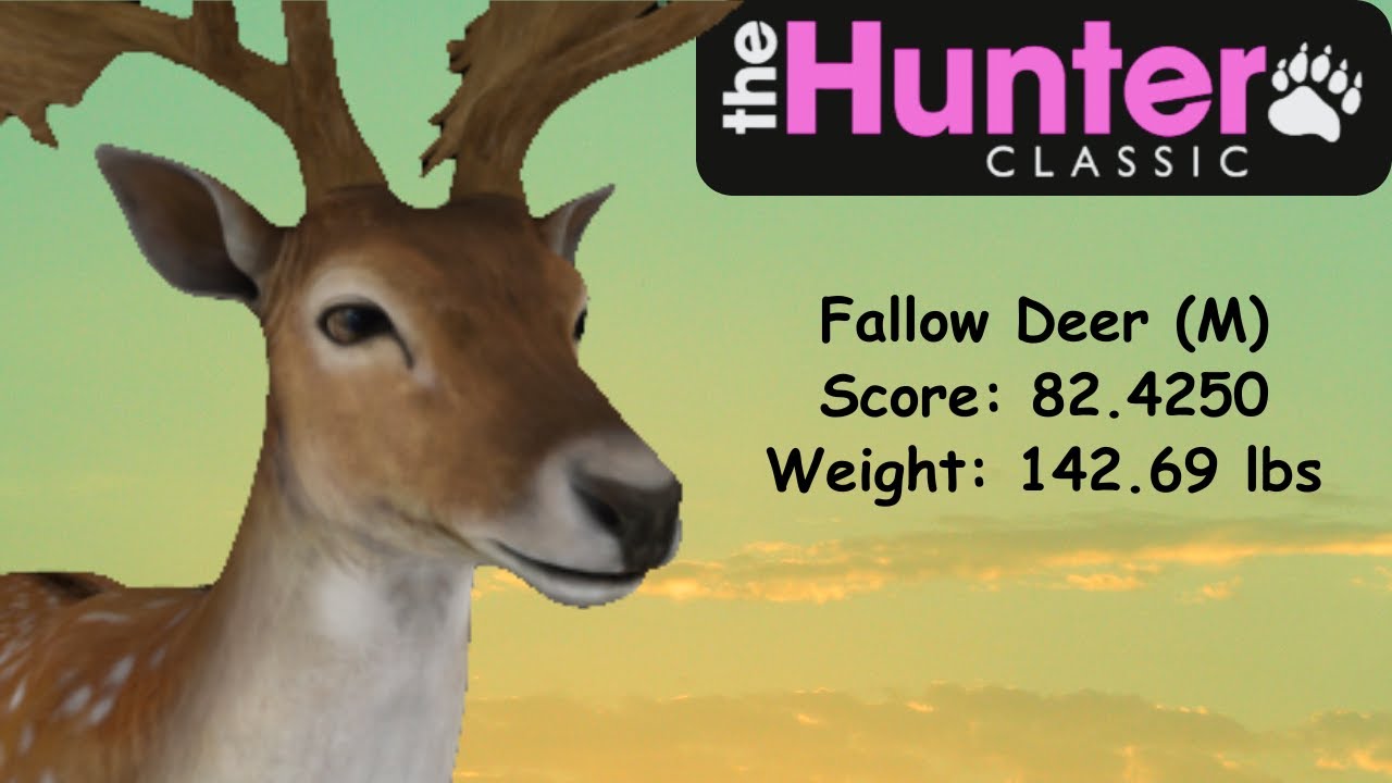 The Hunter Classic | Male Fallow Deer Gameplay | Score 82.4250 - YouTube